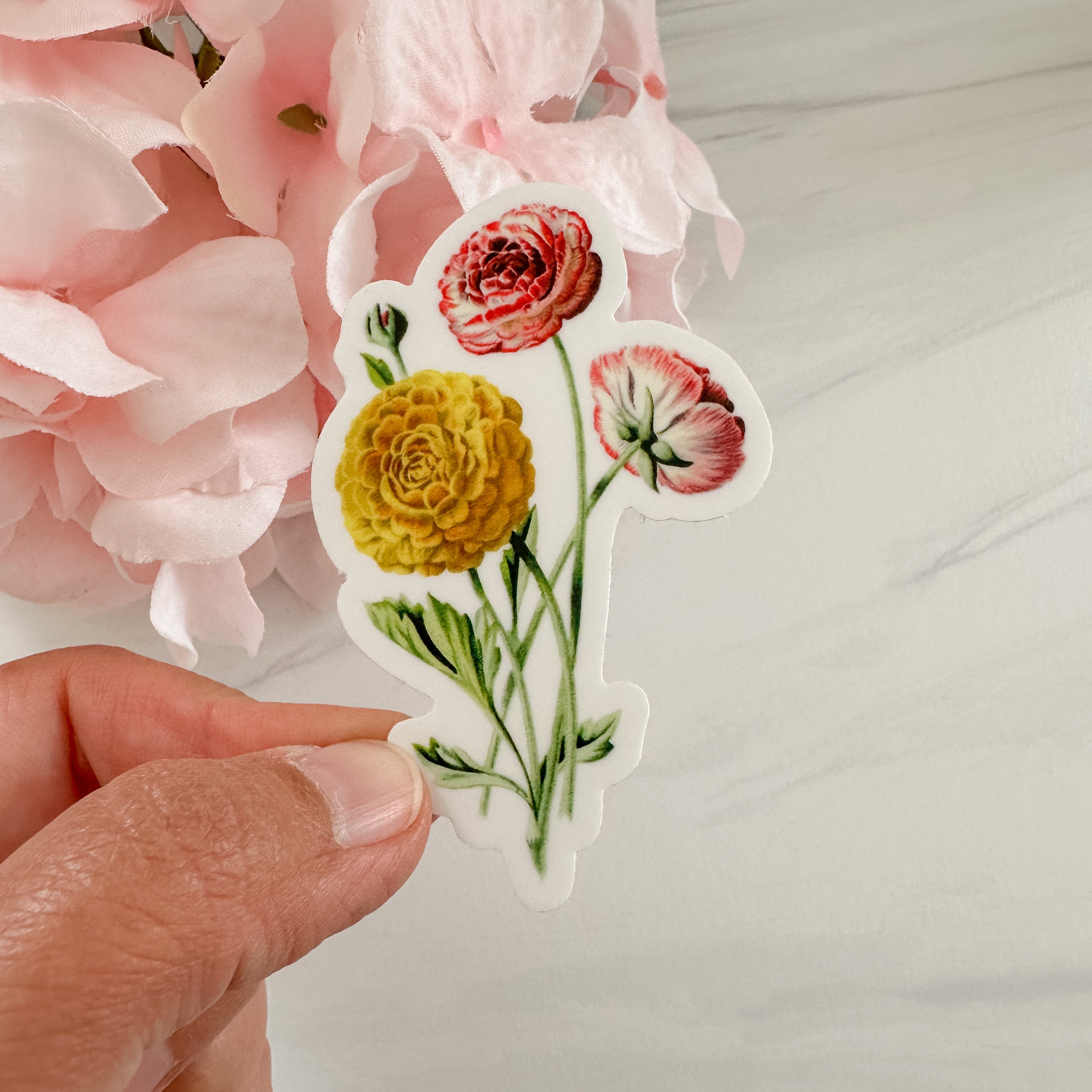 Ranunculus Flowers Sticker Decal – Wildflower Paper Company