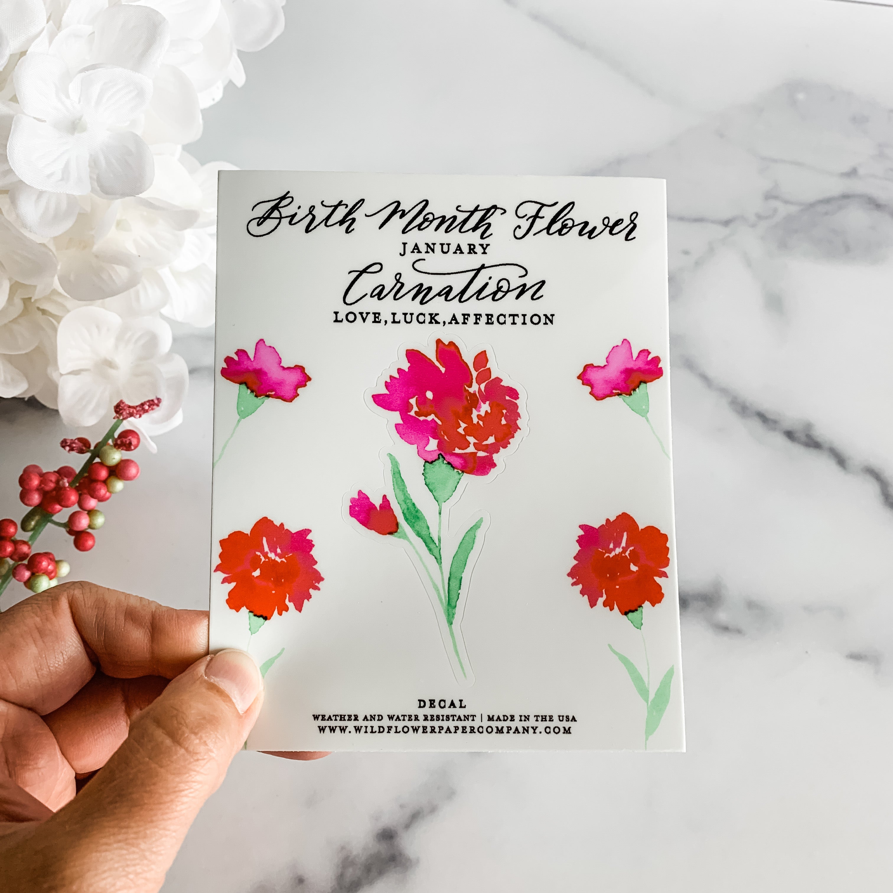 Carnation Birth Month Flower January Sticker Decal – Wildflower Paper ...