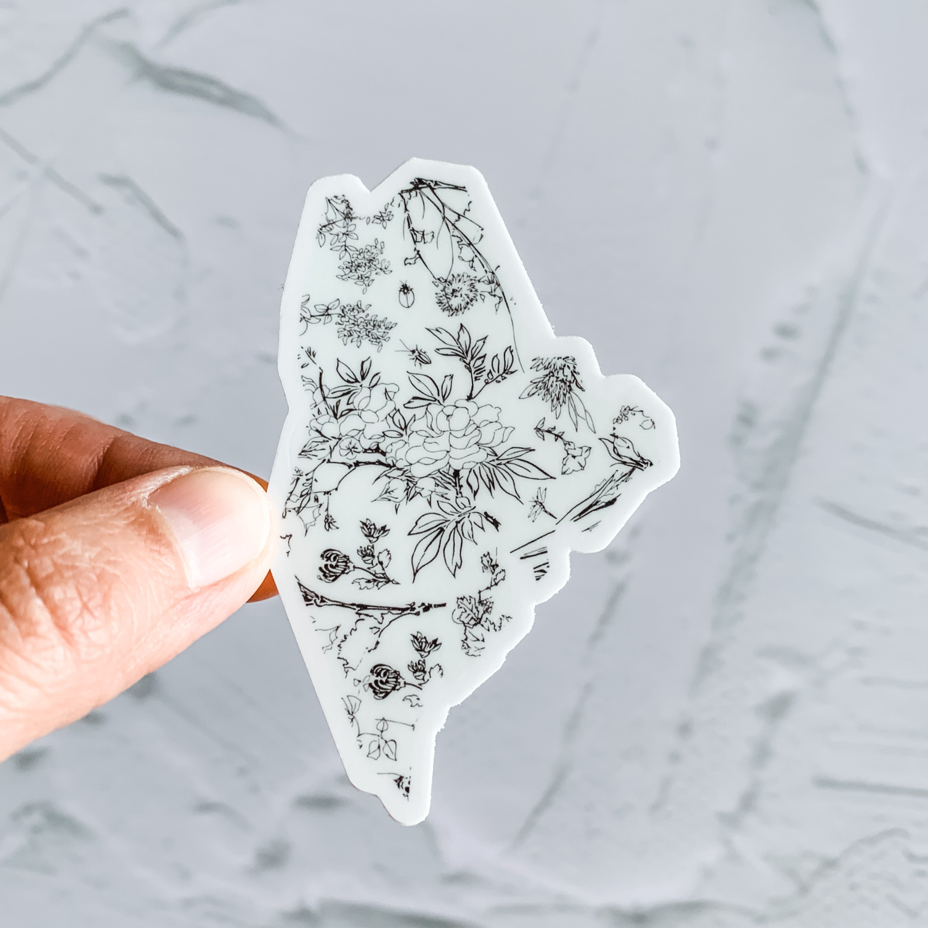 Maine State Botanical Sticker Decal – Wildflower Paper Company