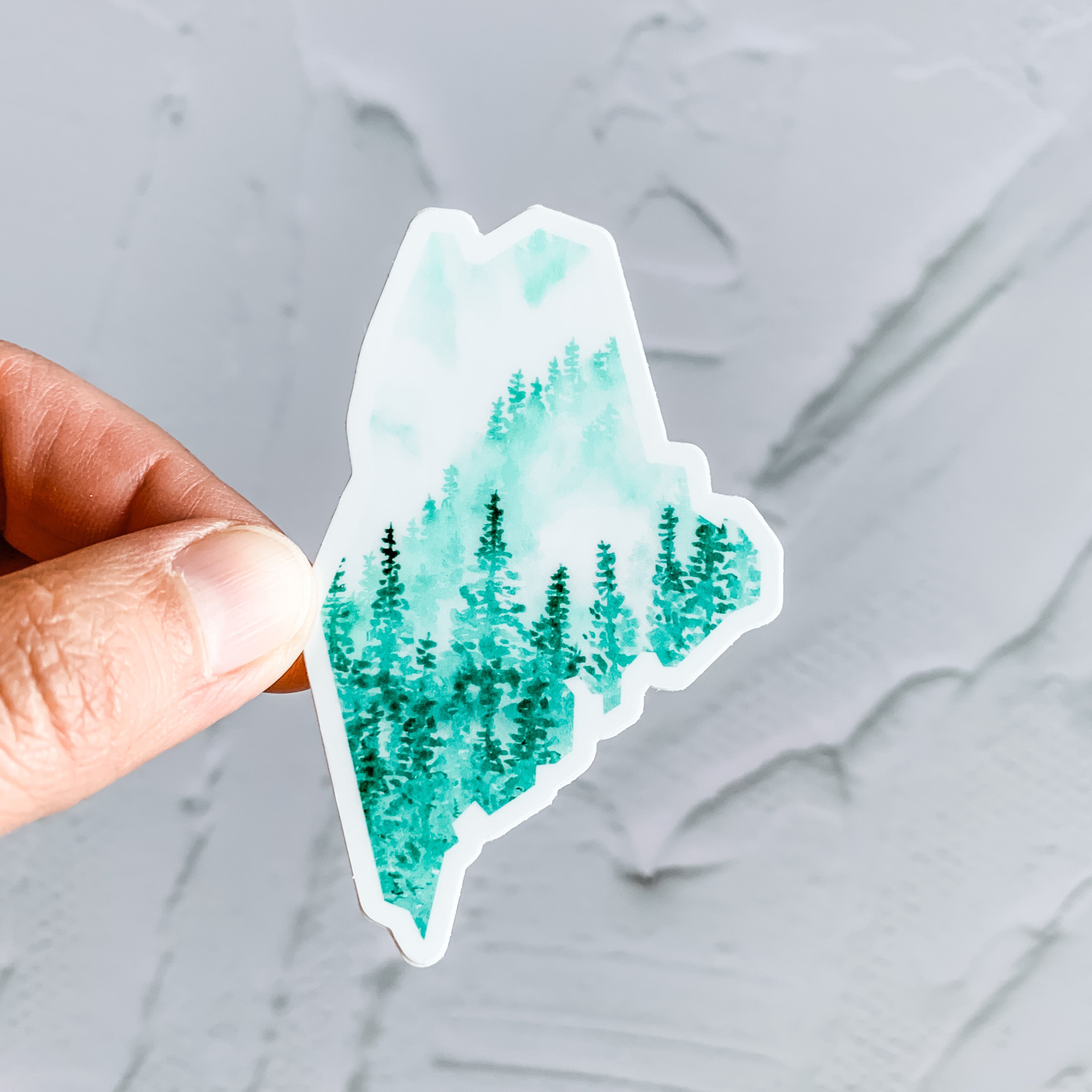 Maine State Forest Green Sticker Decal – Wildflower Paper Company