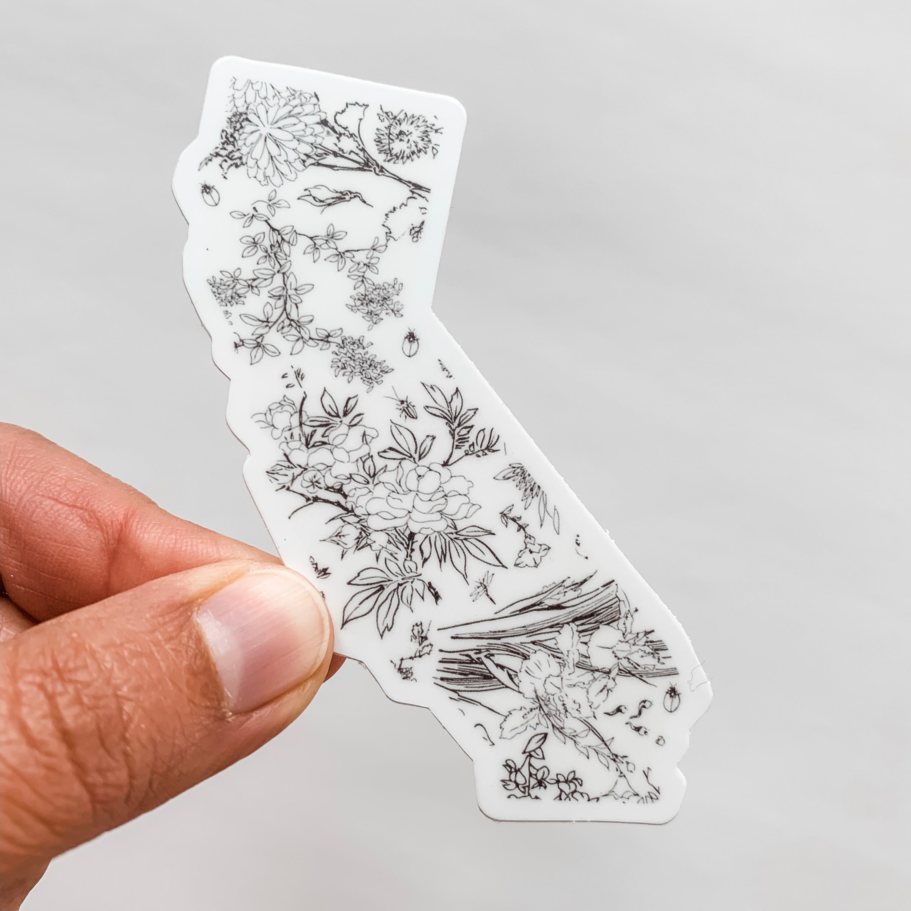 California State Botanical Sticker Decal – Wildflower Paper Company