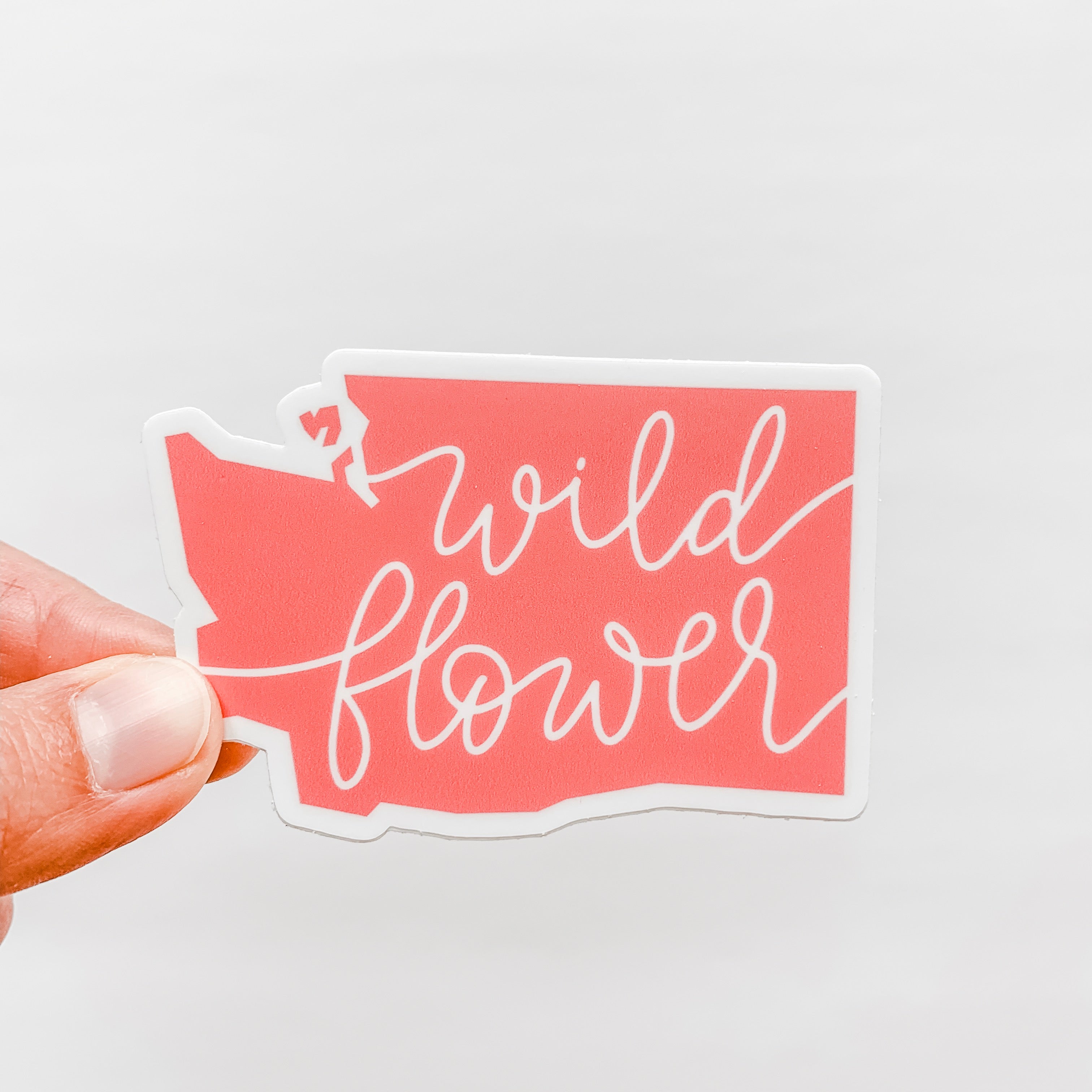 Washington State Wildflower Coral Sticker Decal – Wildflower Paper Company