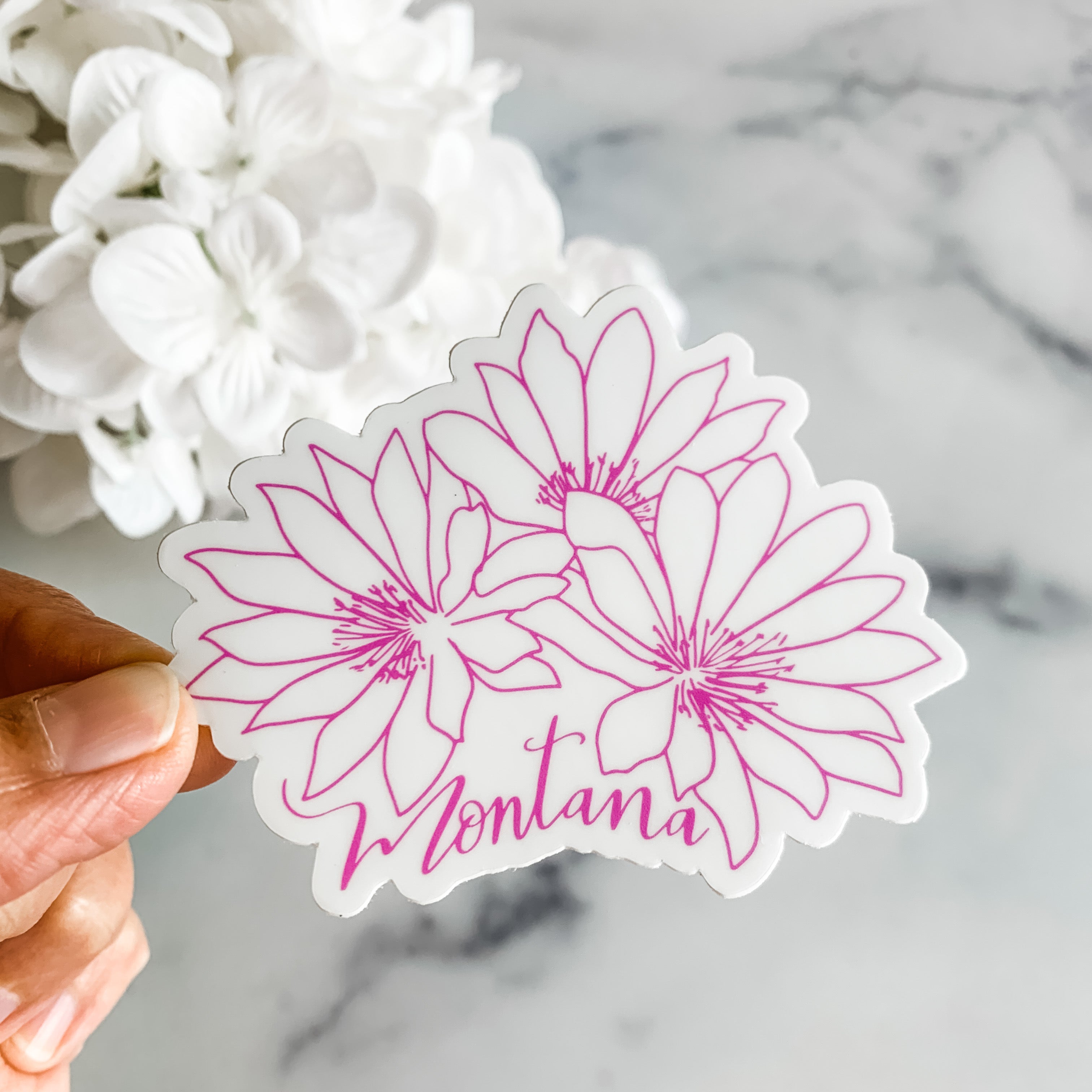 Montana Line Art Bitterroot Flower State Sticker – Wildflower Paper Company