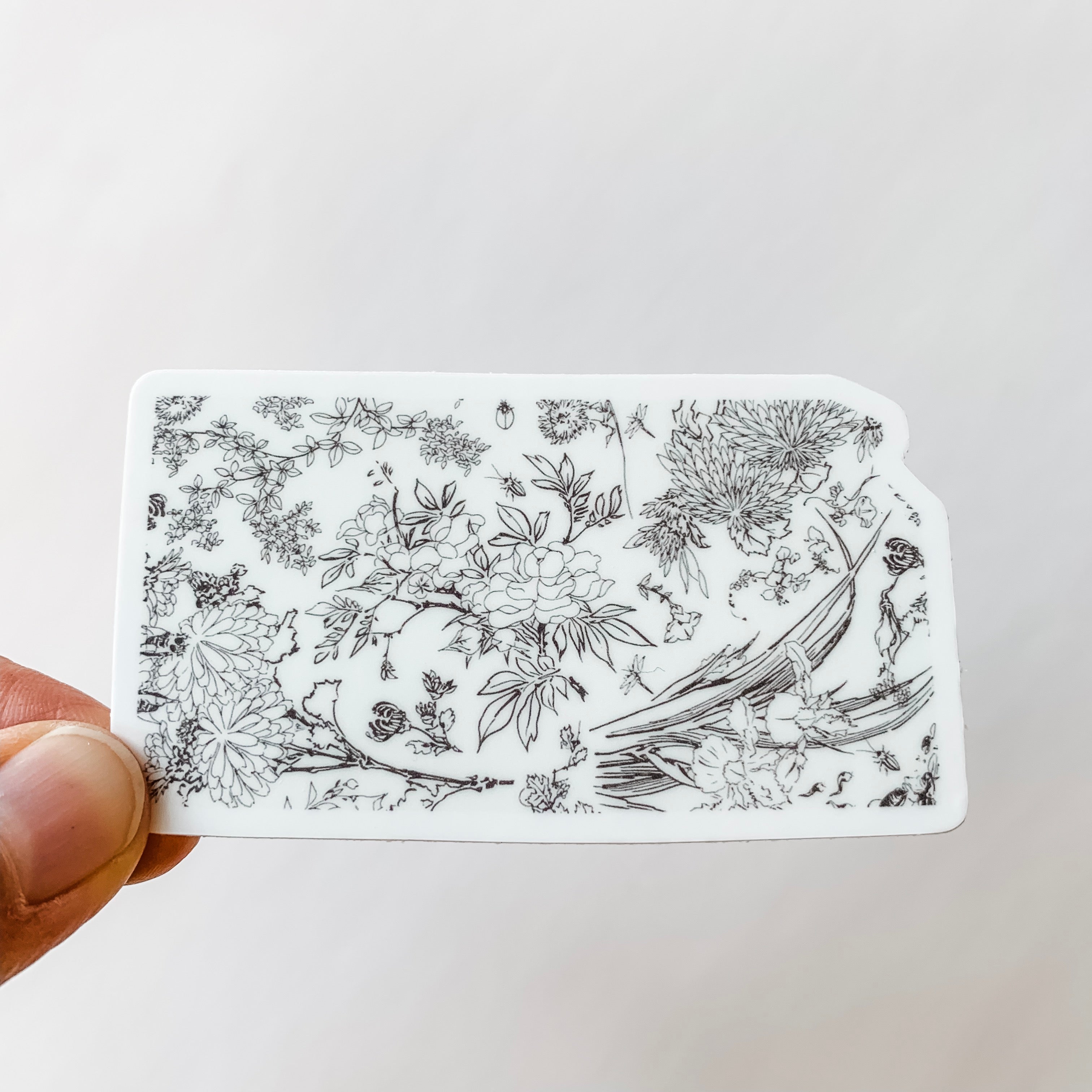 Kansas State Botanical Sticker Decal – Wildflower Paper Company