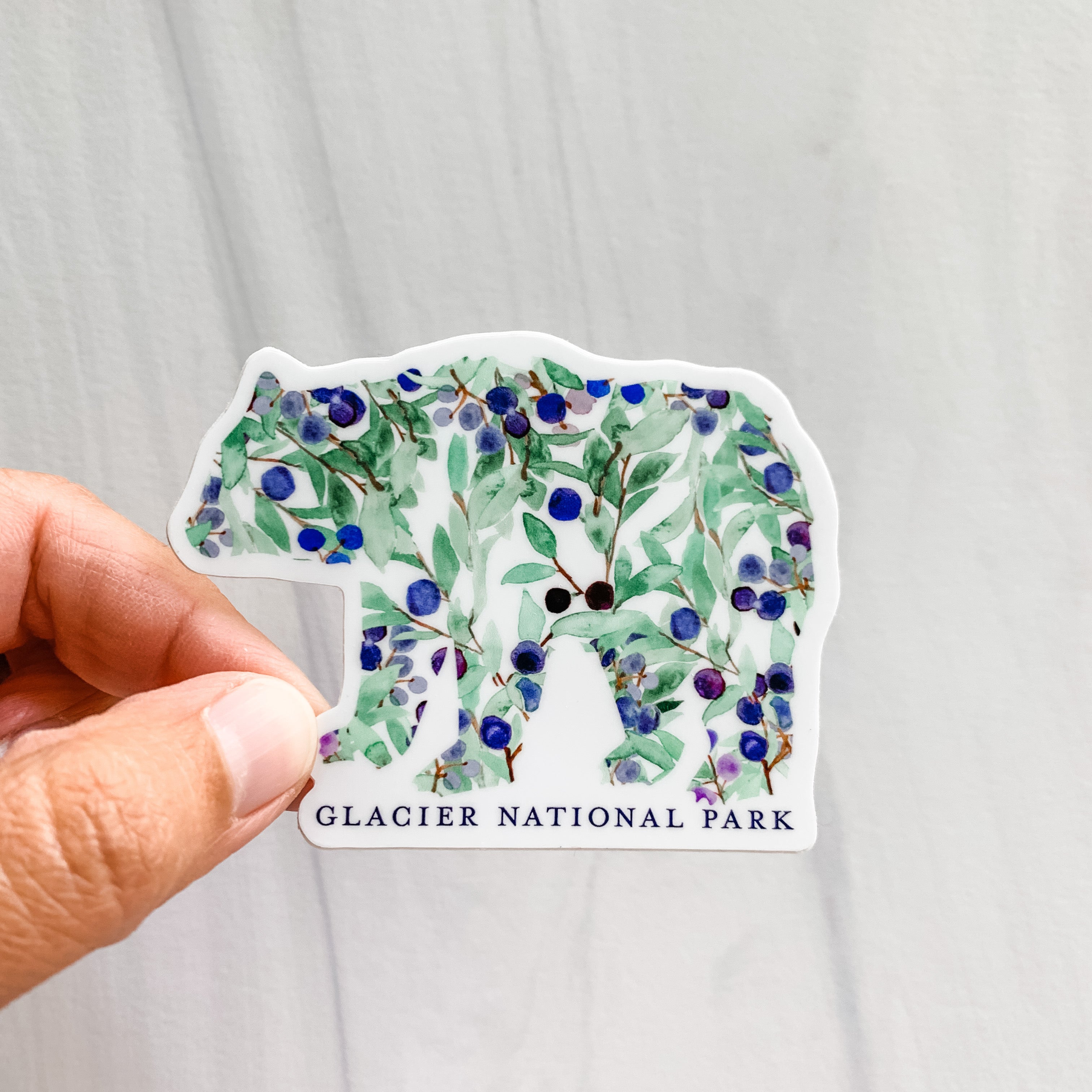 Glacier National Park Huckleberry Bear Sticker Decal – Wildflower Paper ...