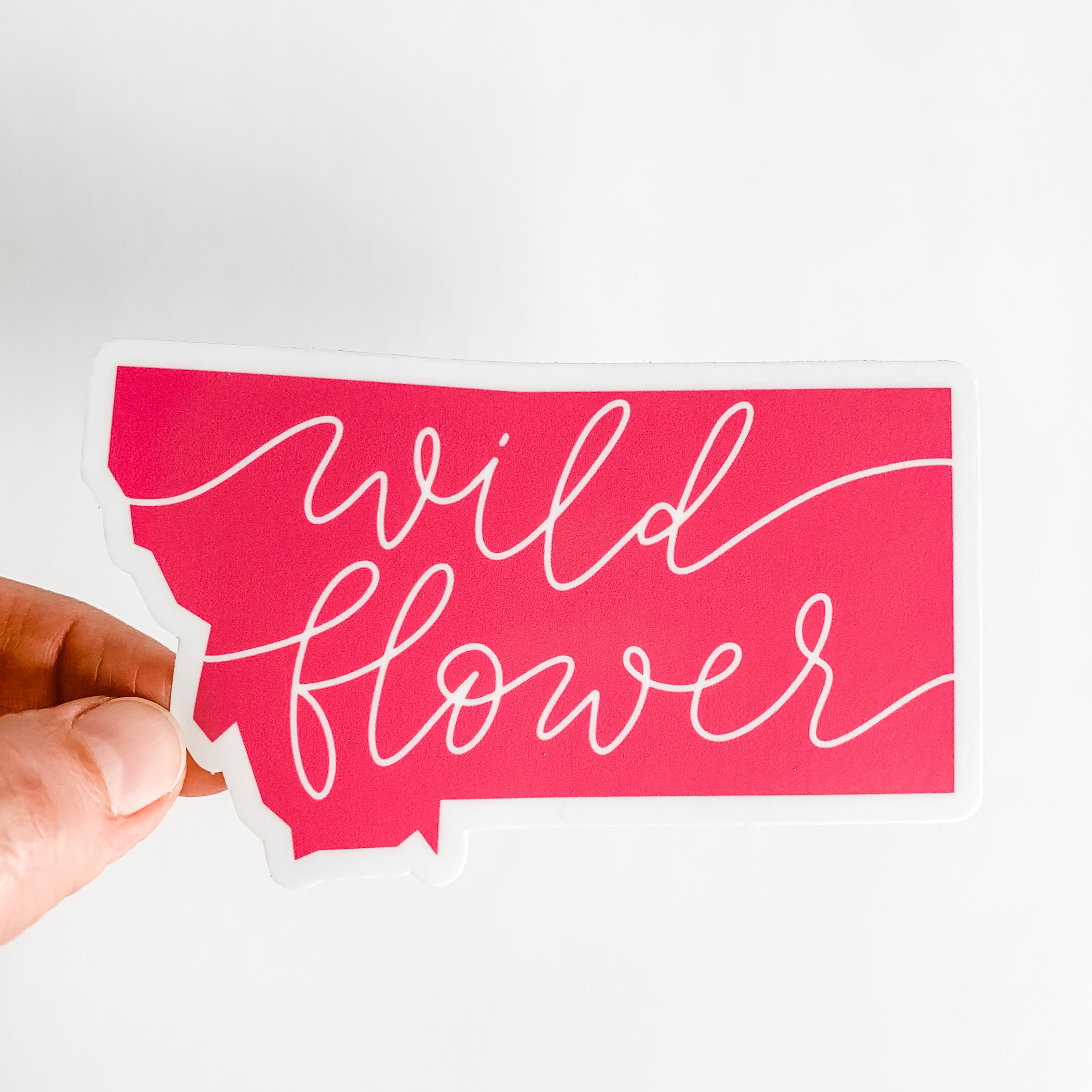 Montana State Wildflower Pink Sticker Decal – Wildflower Paper Company