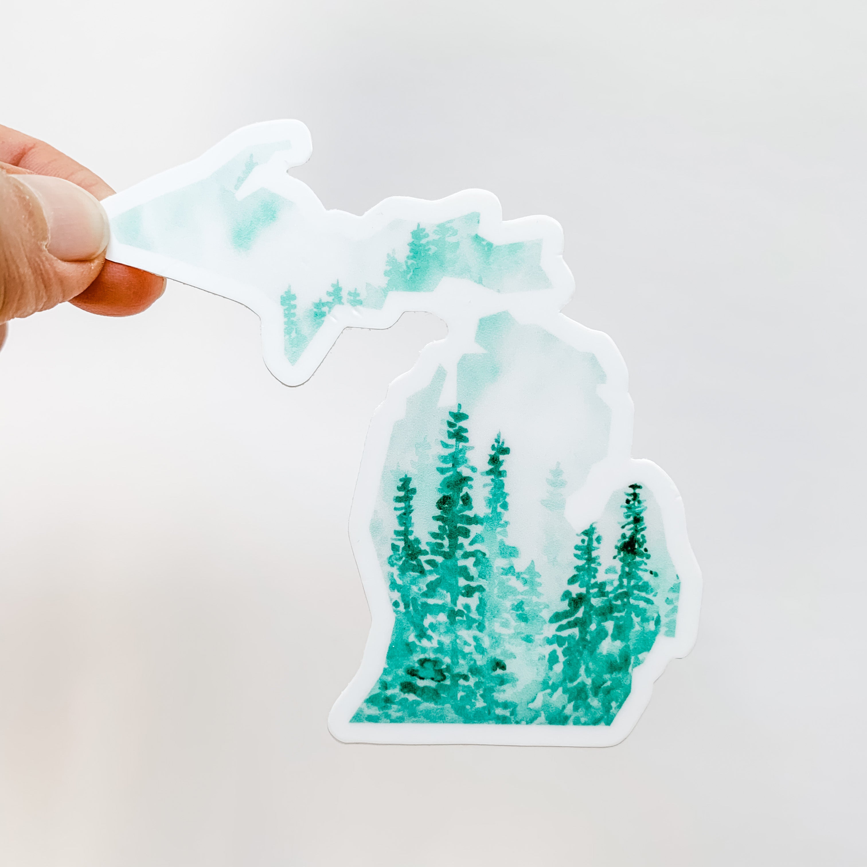 Michigan State Forest Green Sticker Decal – Wildflower Paper Company