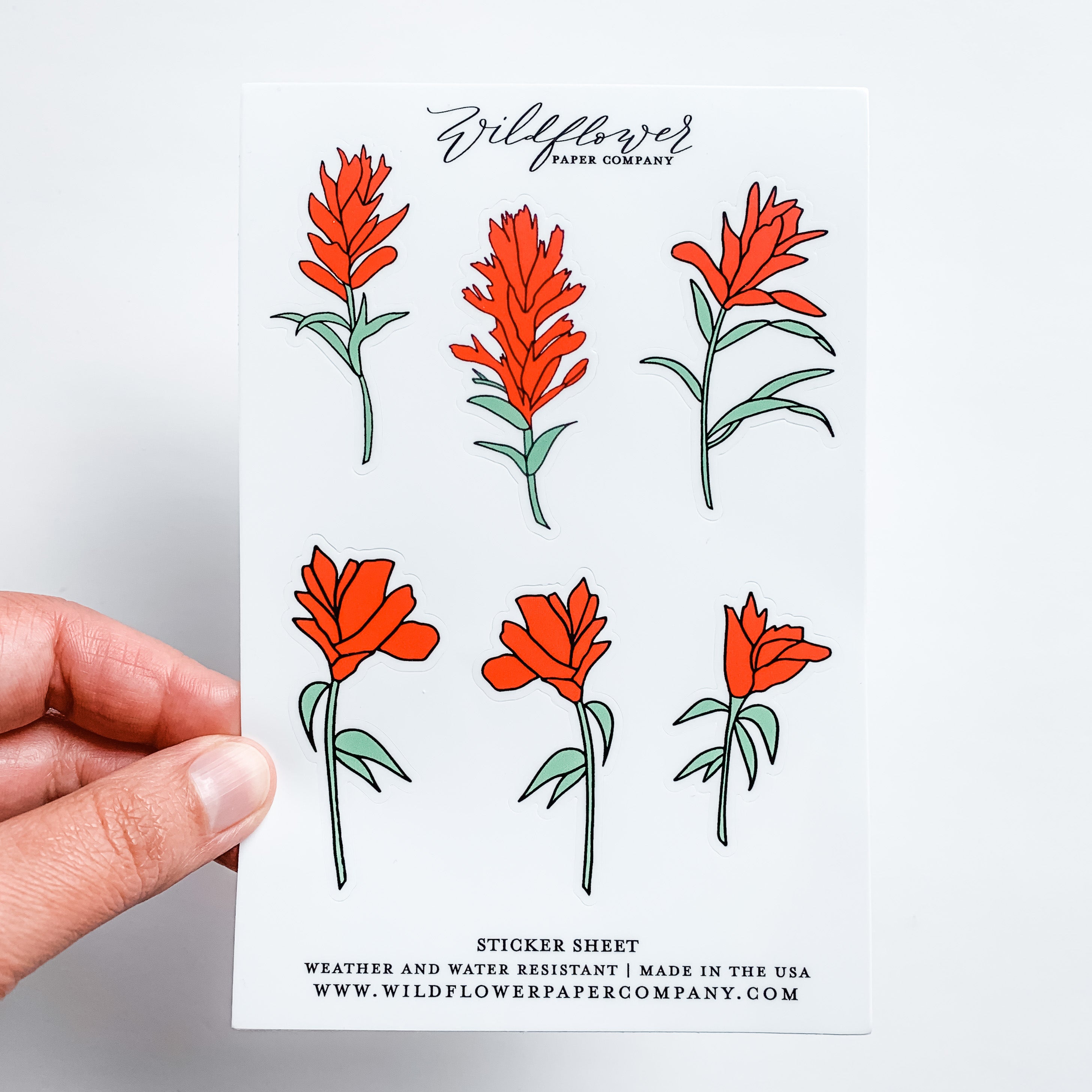 Indian Paintbrush Flower Sticker Sheet – Wildflower Paper Company