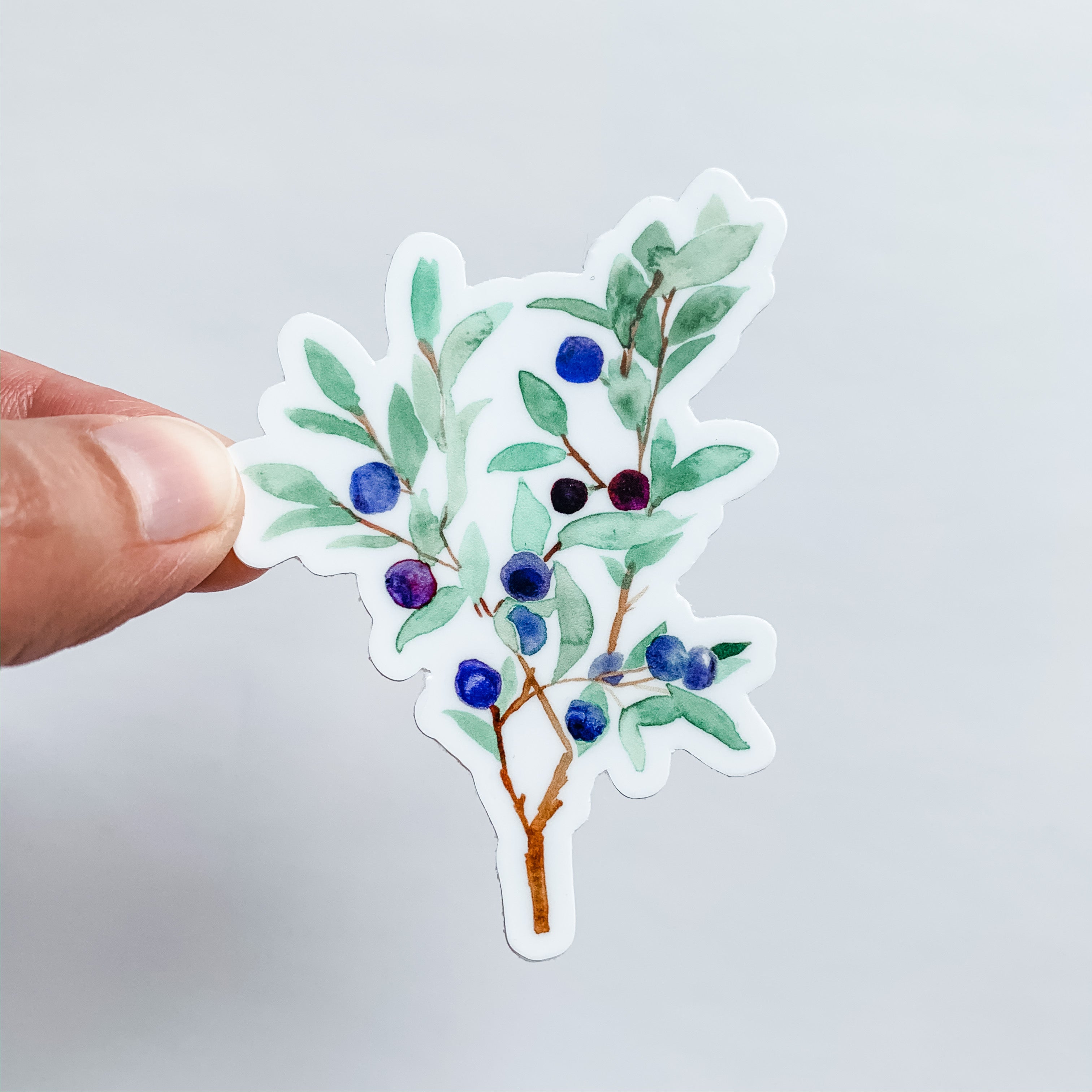 Huckleberry Branch Decal Sticker – Wildflower Paper Company